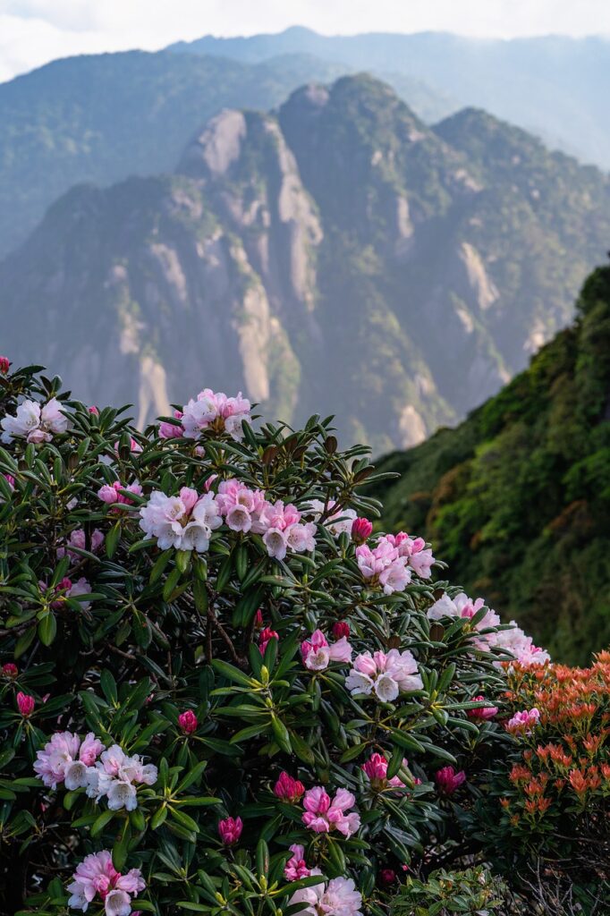 Choroby Rododendronów: Przyczyny, Objawy i Metody Leczenia